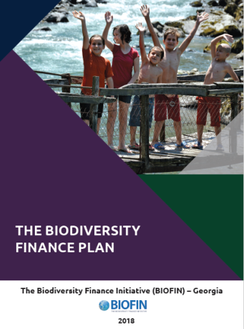 The Biodiversity Finance Plan (BFP) | BIOFIN
