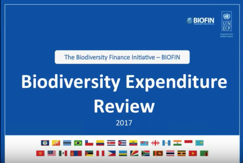 BIOFIN Webinar: Biodiversity Expenditure Review (BER) | BIOFIN