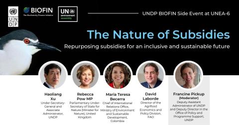 UNDP-BIOFIN's session at UNEA6 on repurposing subsidies for a ...