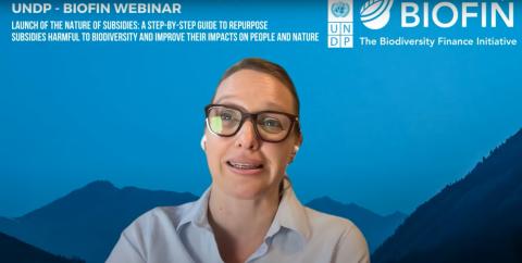 Webinar - Launch of the 'Nature of Subsidies' guide | BIOFIN