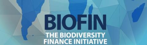 Six new countries build strong bases to implement BIOFIN | BIOFIN