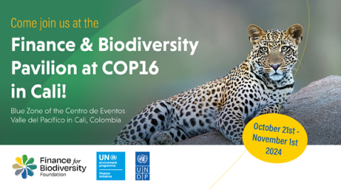 Finance for Biodiversity Foundation, UNEP FI and UNDP announce pavilion ...