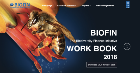BIOFIN Workbook Microsite Live | BIOFIN