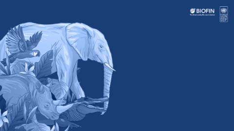 10 years of UNDP-BIOFIN celebrated at COP15 | BIOFIN