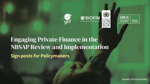 UNDP BIOFIN and UNEP FI launch a new collaboration to align private and ...